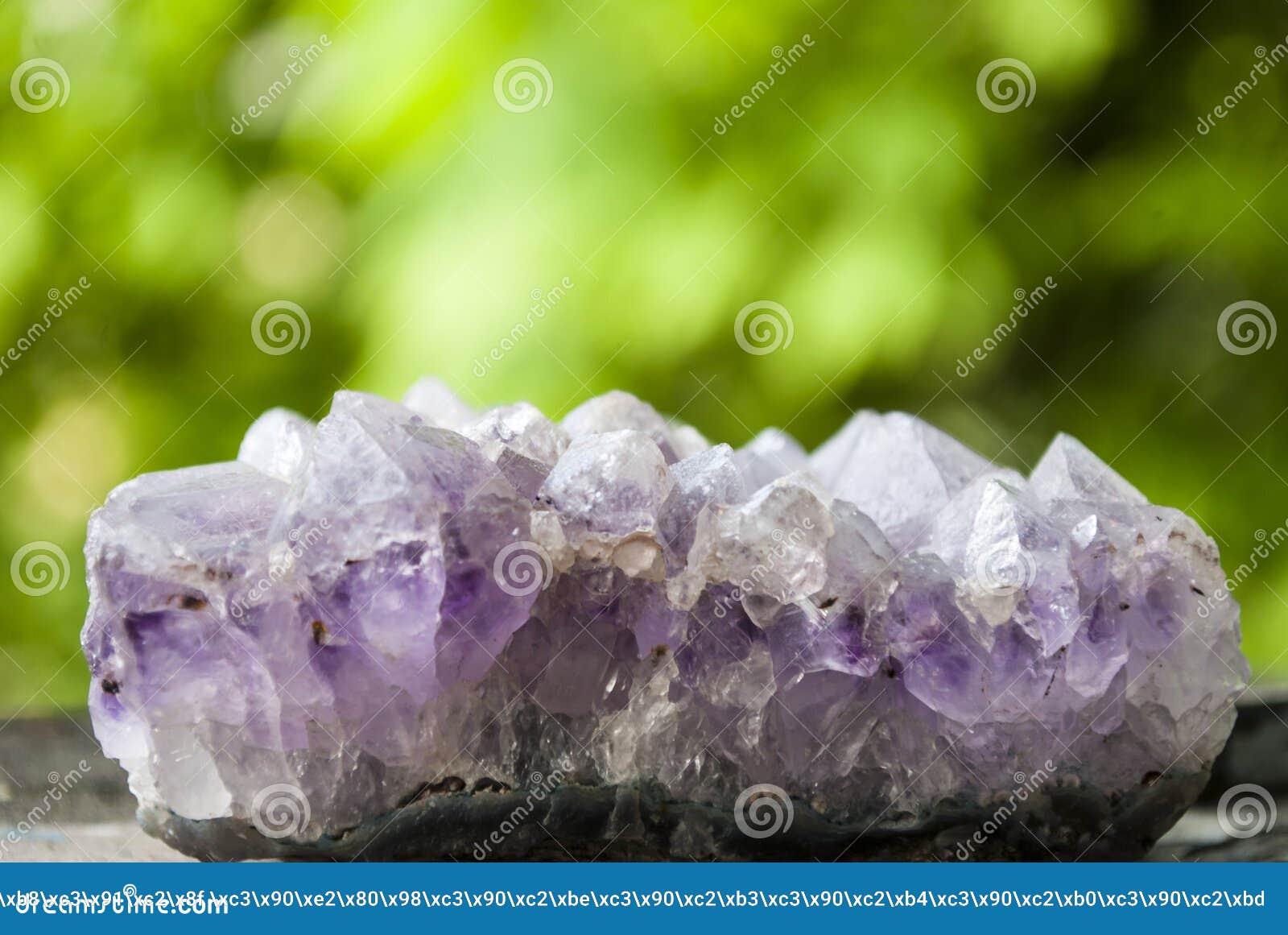 Amethyst. Natural Crystal without Processing on a Green Background ...
