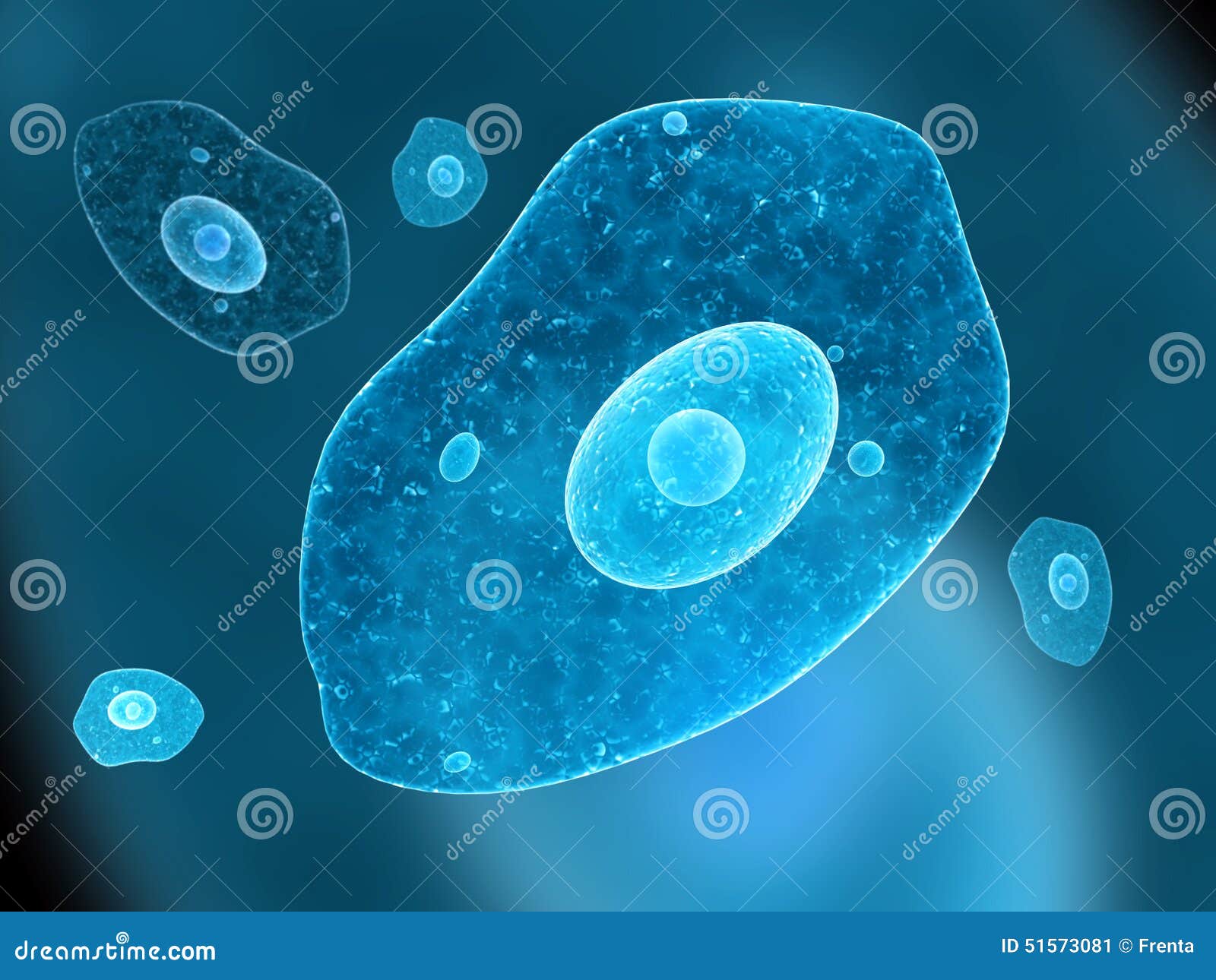 Amibe illustration stock. Illustration du agression, santé - 51573081