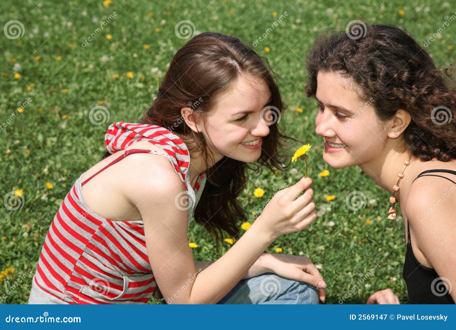 Amiche immagine stock. Immagine di allegro, sorridere - 2569147