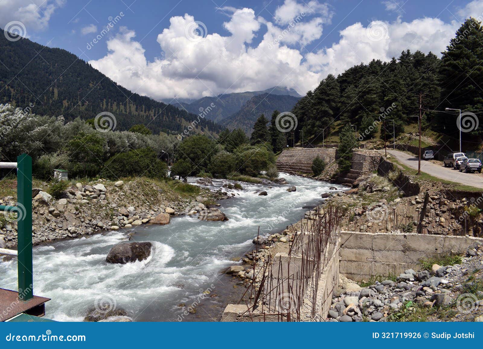 Amidst the Clouds - the Sky, the Mountains, the Valleys, and the Trees ...