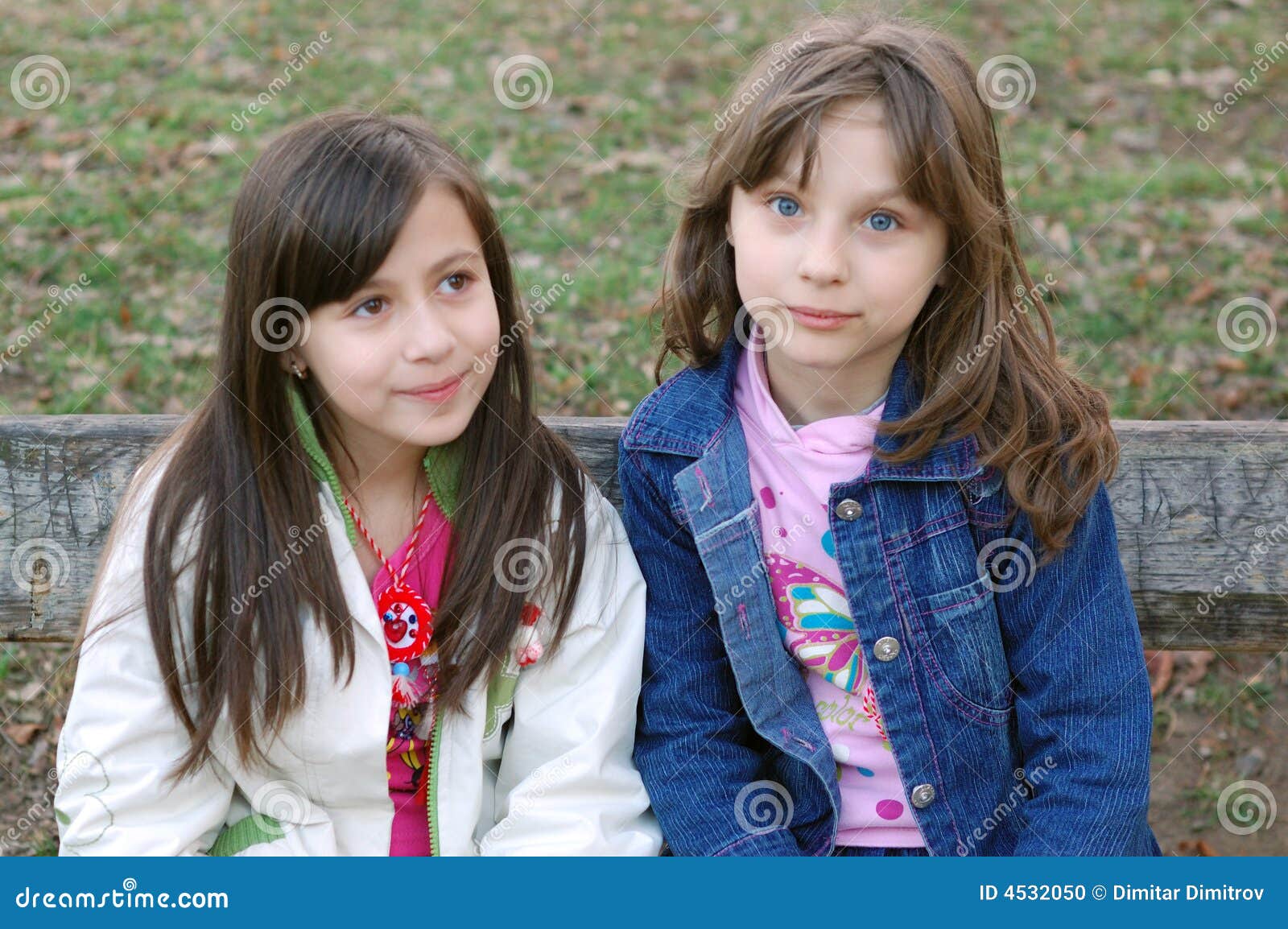 Amies photo stock. Image du brune, brun, stationnement - 4532050