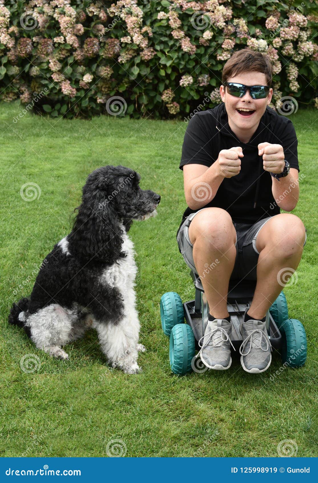 Amigos Inseparables, Un Muchacho Y Su Perro Imagen de archivo - Imagen ...