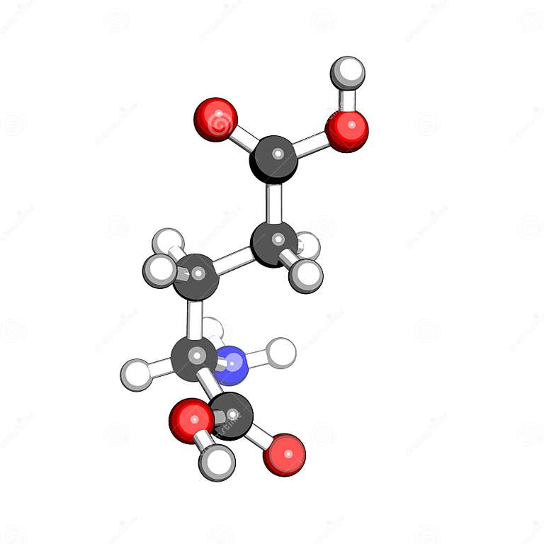 Amino Acid Glutamic Acid Structure Stock Illustration - Illustration of ...