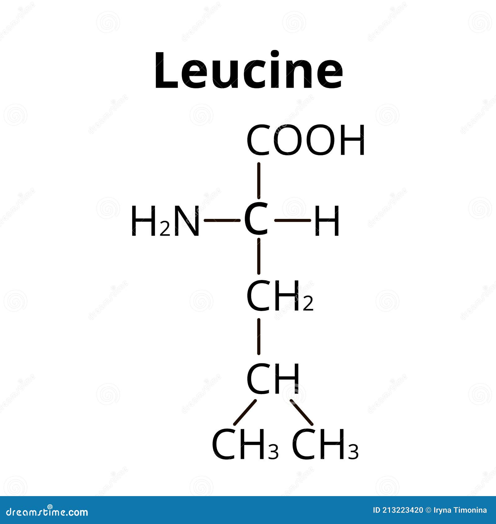 Amino Acid Leucine. Chemical Molecular Formula Of Amino Acid Leucine ... Amino Acid Leucine. Chemical Molecular Formula Of Amino Acid Leucine ...
