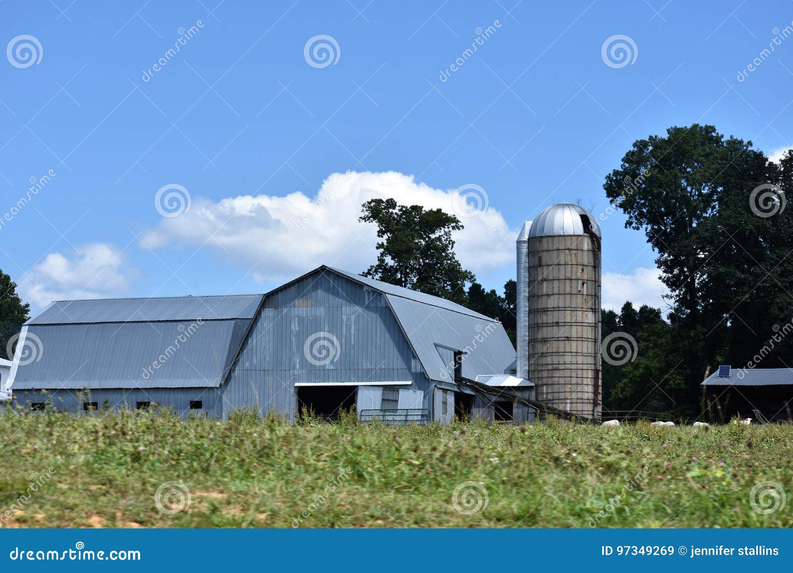 Amish barn stock image. Image of sheep, country, silo - 97349269
