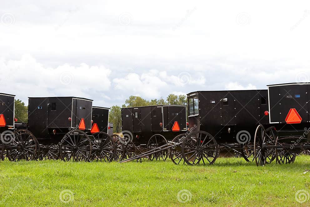 Amish buggies 3 stock photo. Image of civilization, farmland - 1372174