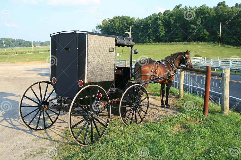 Amish Buggy stock photo. Image of wheels, farms, barn - 21102510