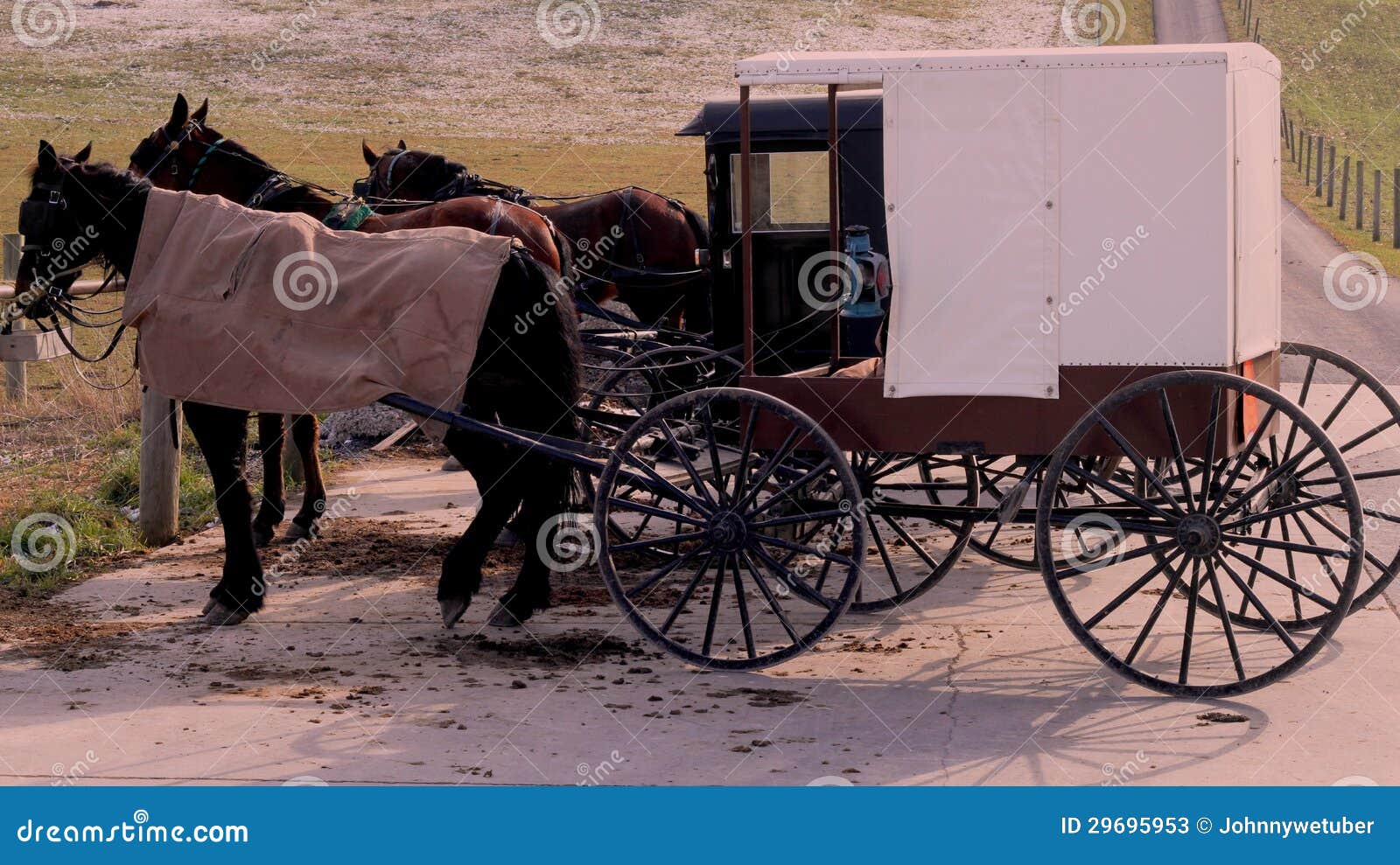 Amish Buggy stock image. Image of amish, buggy, market - 29695953