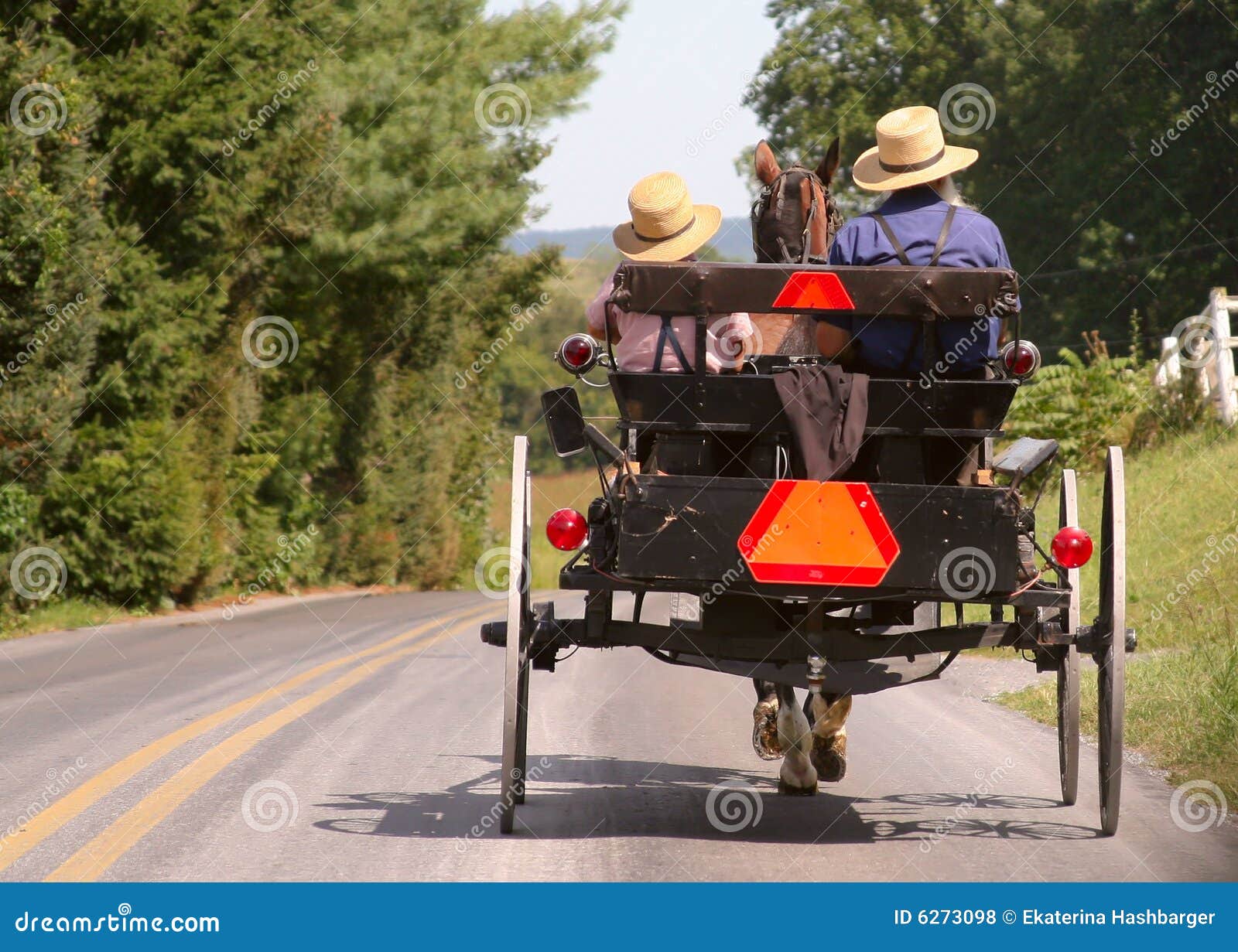 Amish buggy editorial stock photo. Image of buggy, drawn - 6273098