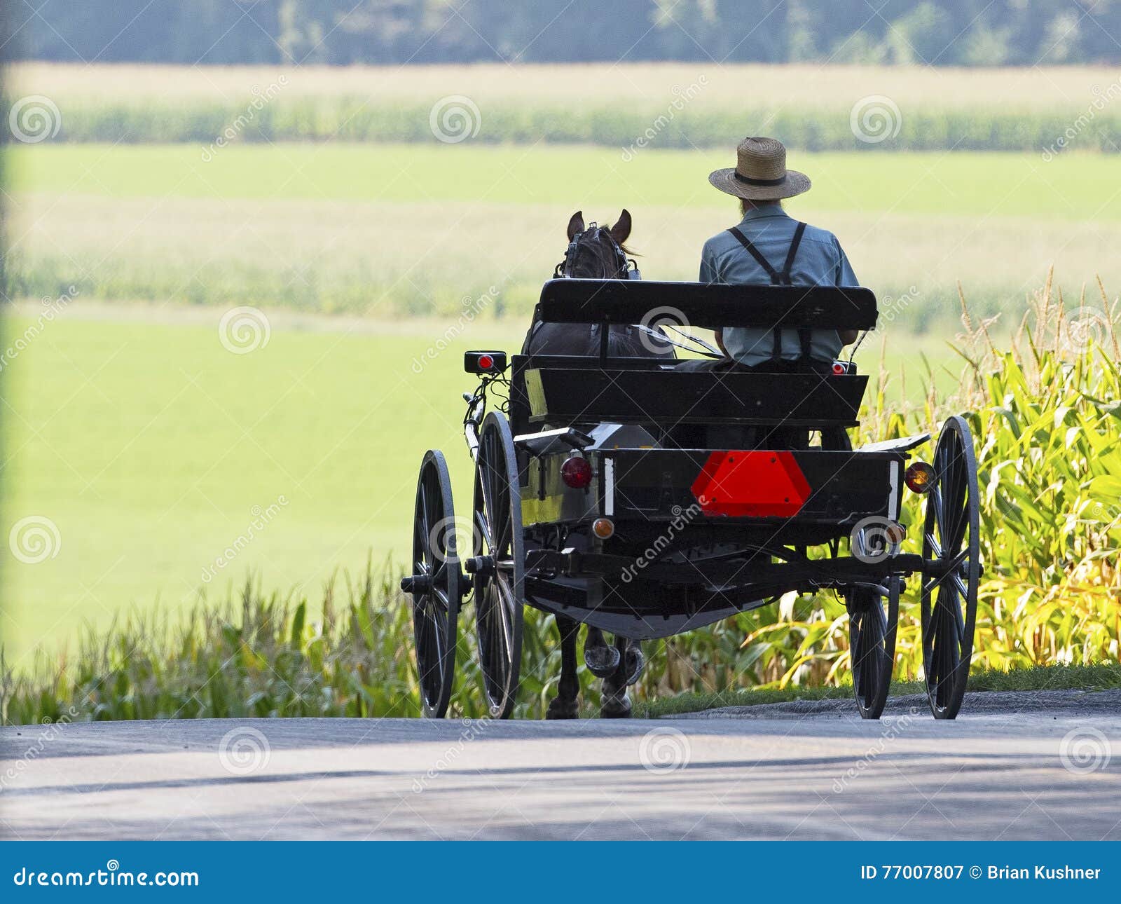 Amish Buggy editorial photography. Image of pennsylvania - 77007807