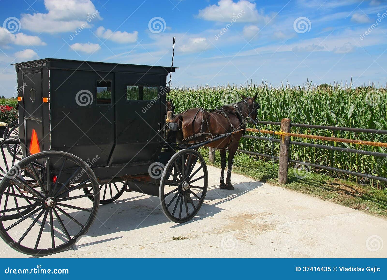 Amish Carriage And Flower Cart Royalty-Free Stock Photo | CartoonDealer ...