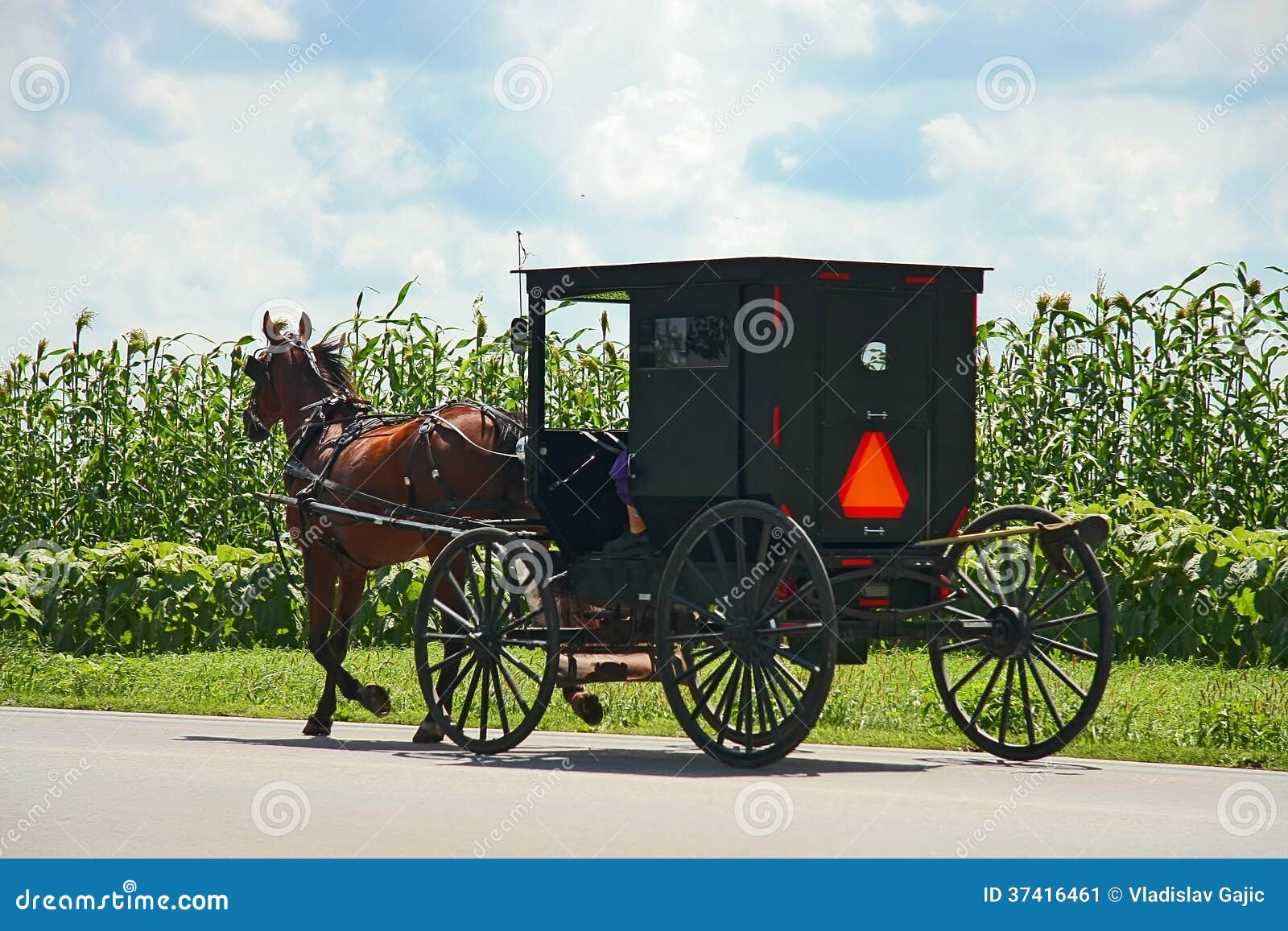 Amish Carriage And Flower Cart Royalty-Free Stock Photo | CartoonDealer ...