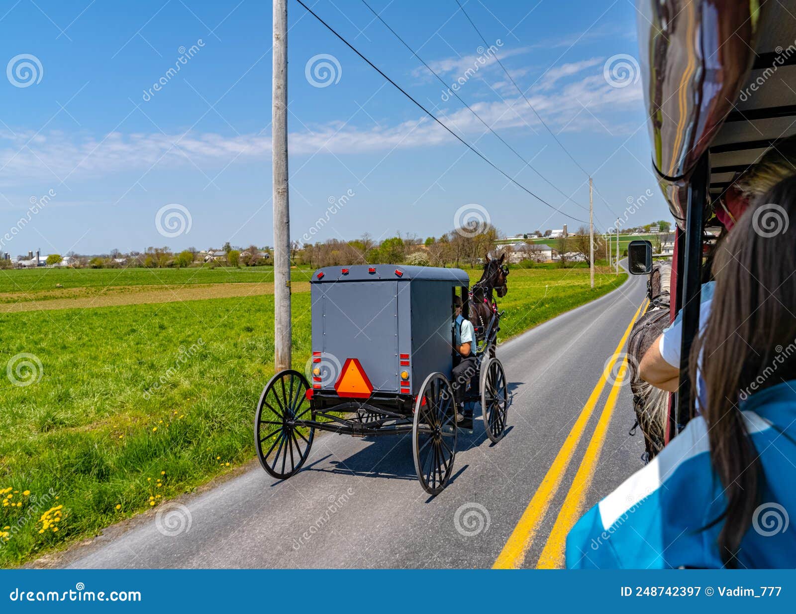 Amish Country, Lancaster PA US - September 4 2019, Amish Girl And Dogs ...