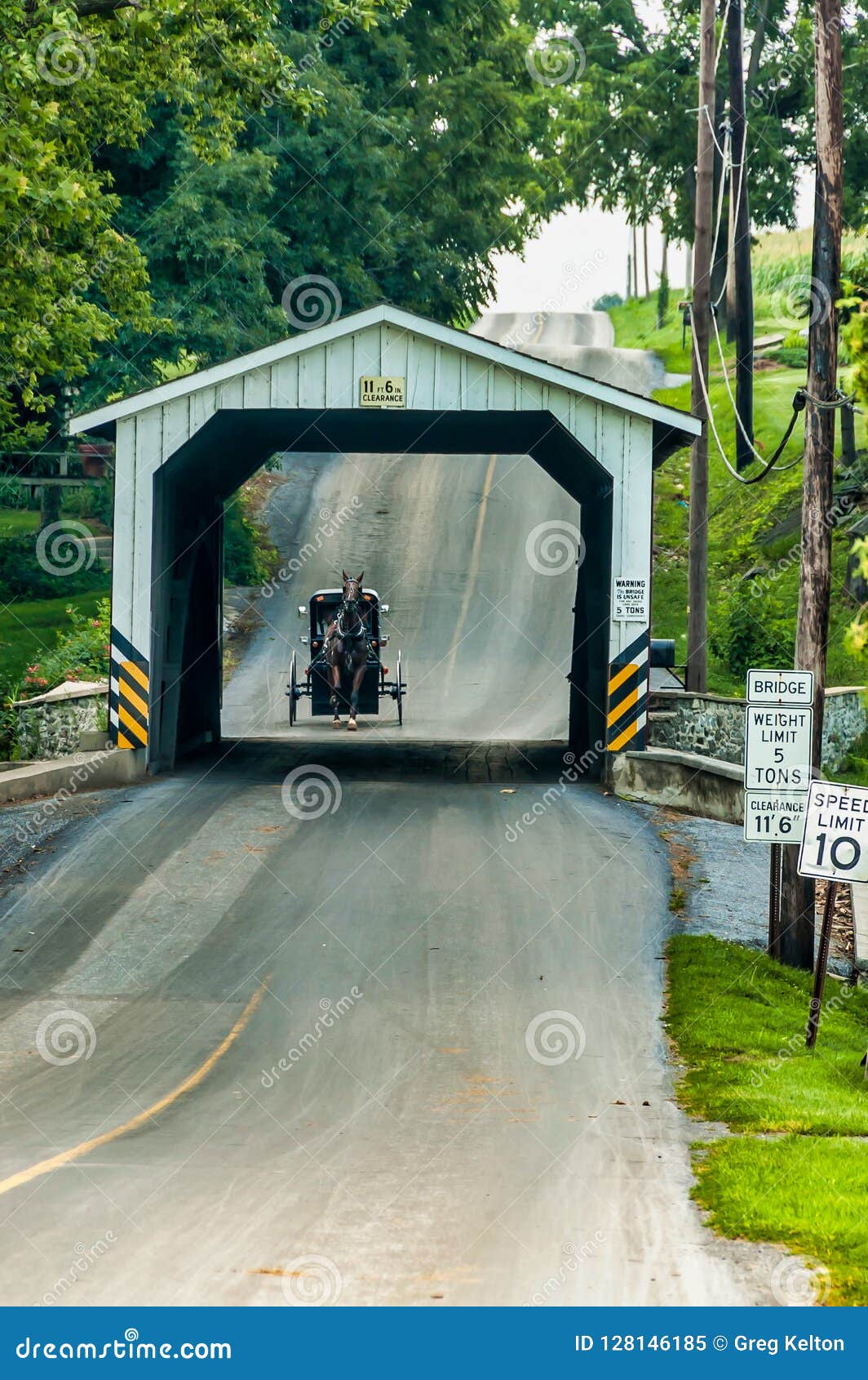 Amish Covered Bridge Buggy Going through it Stock Image - Image of ...