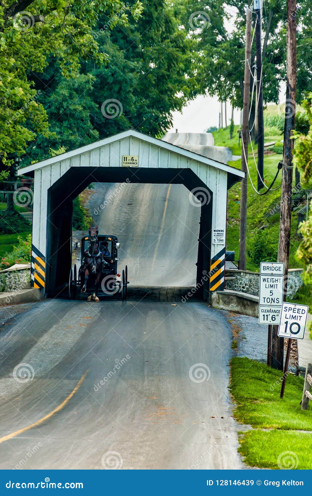 Amish Covered Bridge Buggy Going through it Stock Image - Image of ...