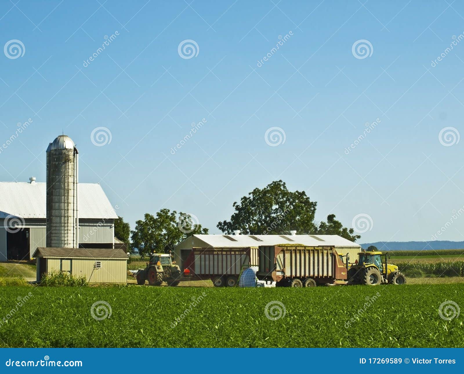 Amish Farm stock image. Image of silos, green, wood, vast - 17269589