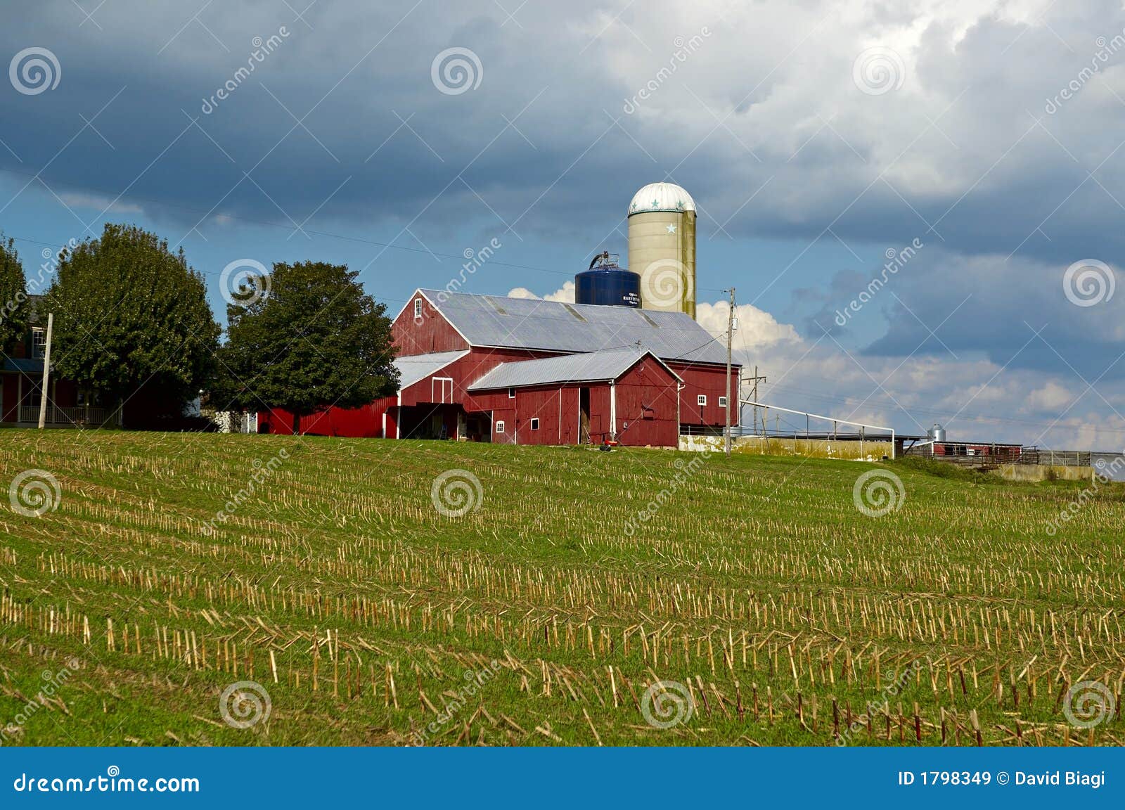 Amish Farm stock image. Image of rural, tranquil, peaceful - 1798349
