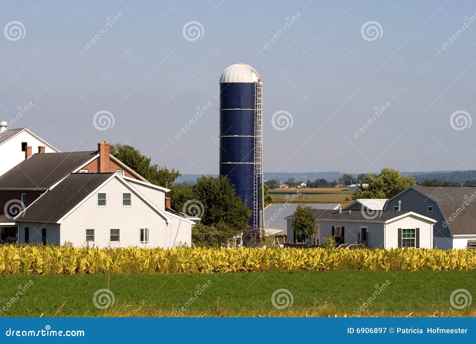 Amish farm stock image. Image of trees, green, wood, outside - 6906897