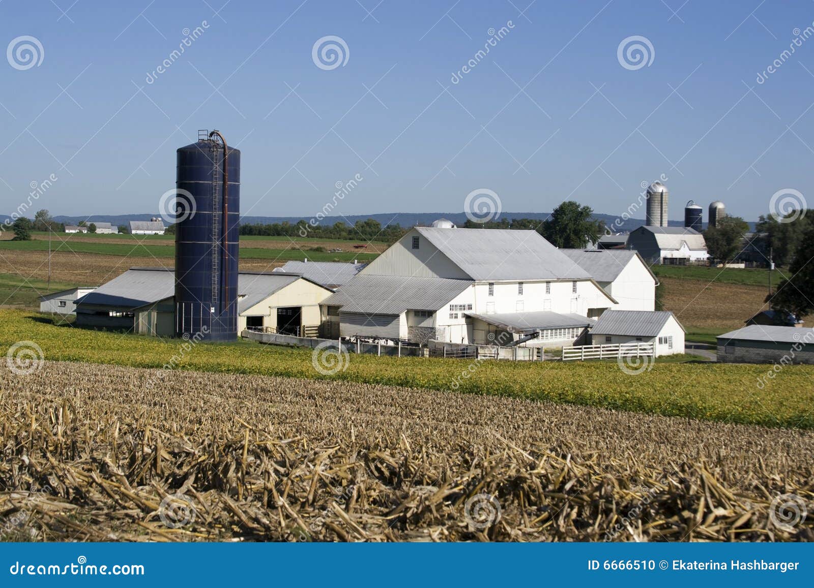 Amish farm and house stock photo. Image of country, green - 6666510
