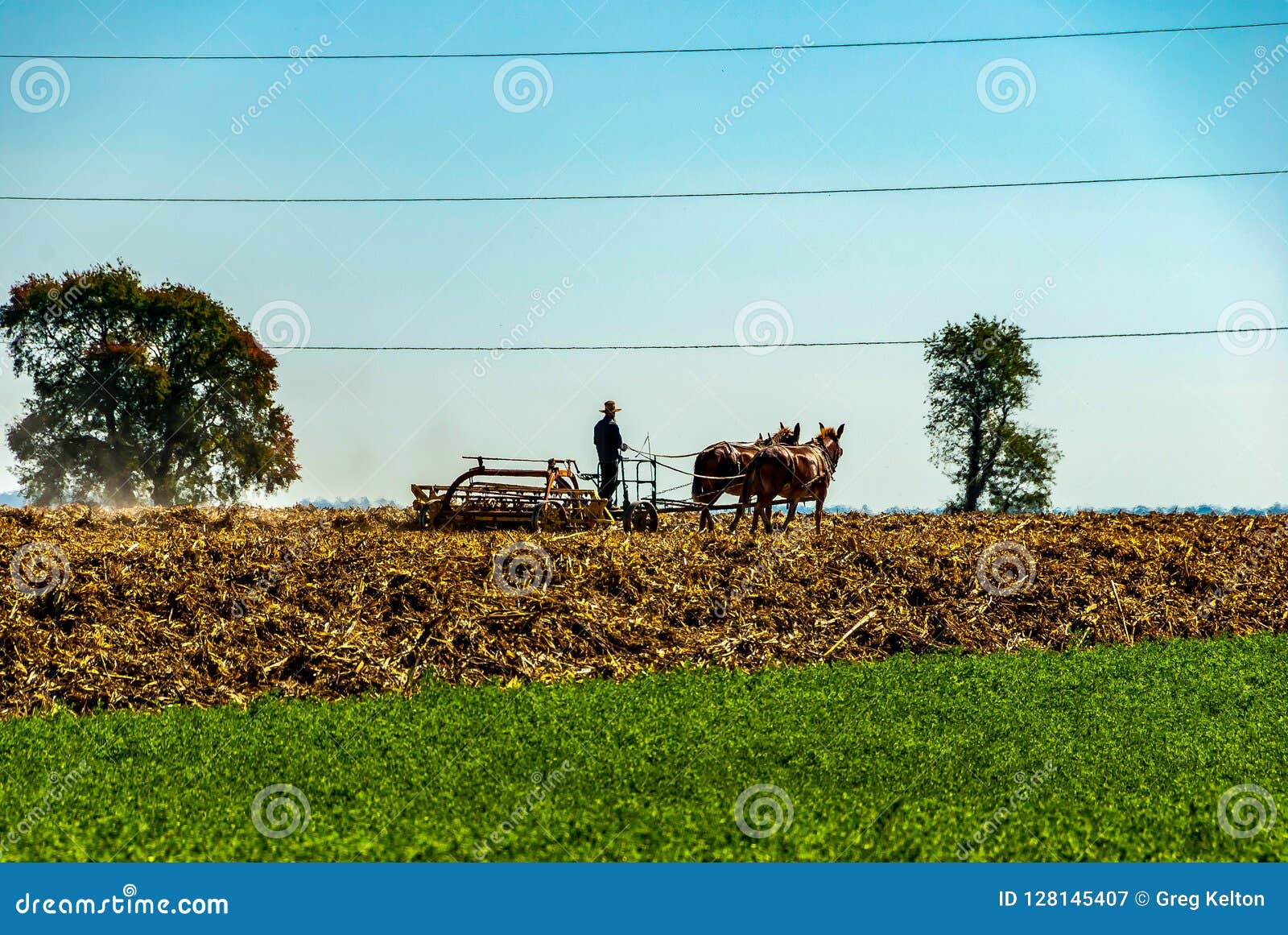 Amish Farmer Plowing the Fields Stock Image - Image of loading, horse ...