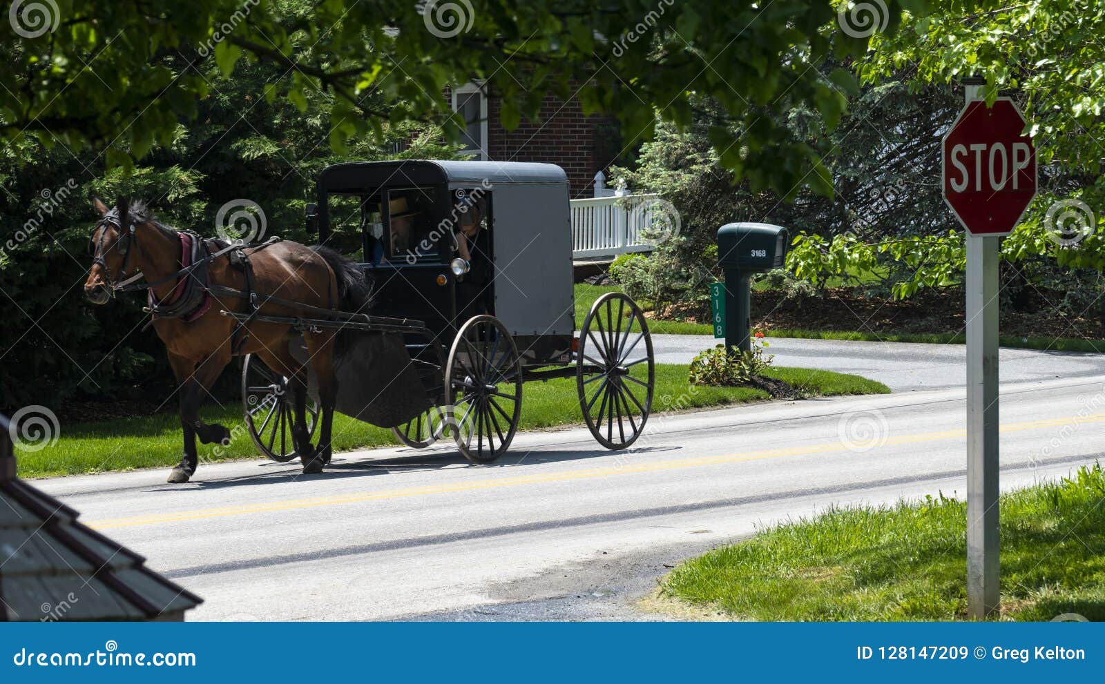 Amish Horse and Buggy Going Down the Road Editorial Stock Image - Image ...