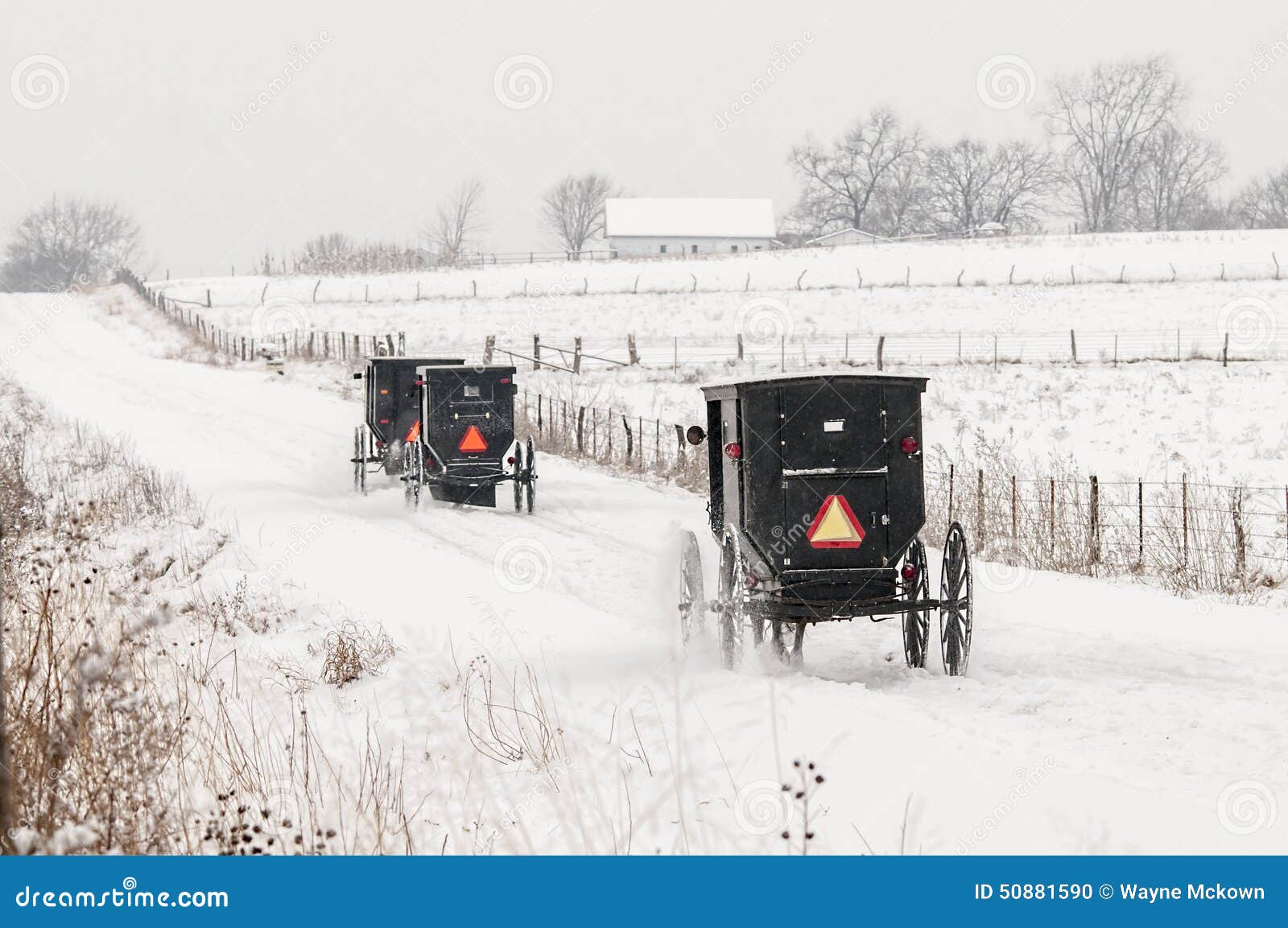 Amish Horse And Buggy Royalty-Free Stock Photo | CartoonDealer.com #4444455 Amish Horse And Buggy Royalty-Free Stock Photo | CartoonDealer.com #4444455