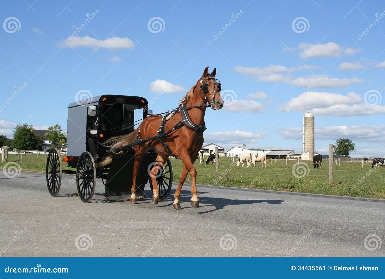 Amish Horse Driven Buggy Stock Photo | CartoonDealer.com #146094882 Amish Horse Driven Buggy Stock Photo | CartoonDealer.com #146094882
