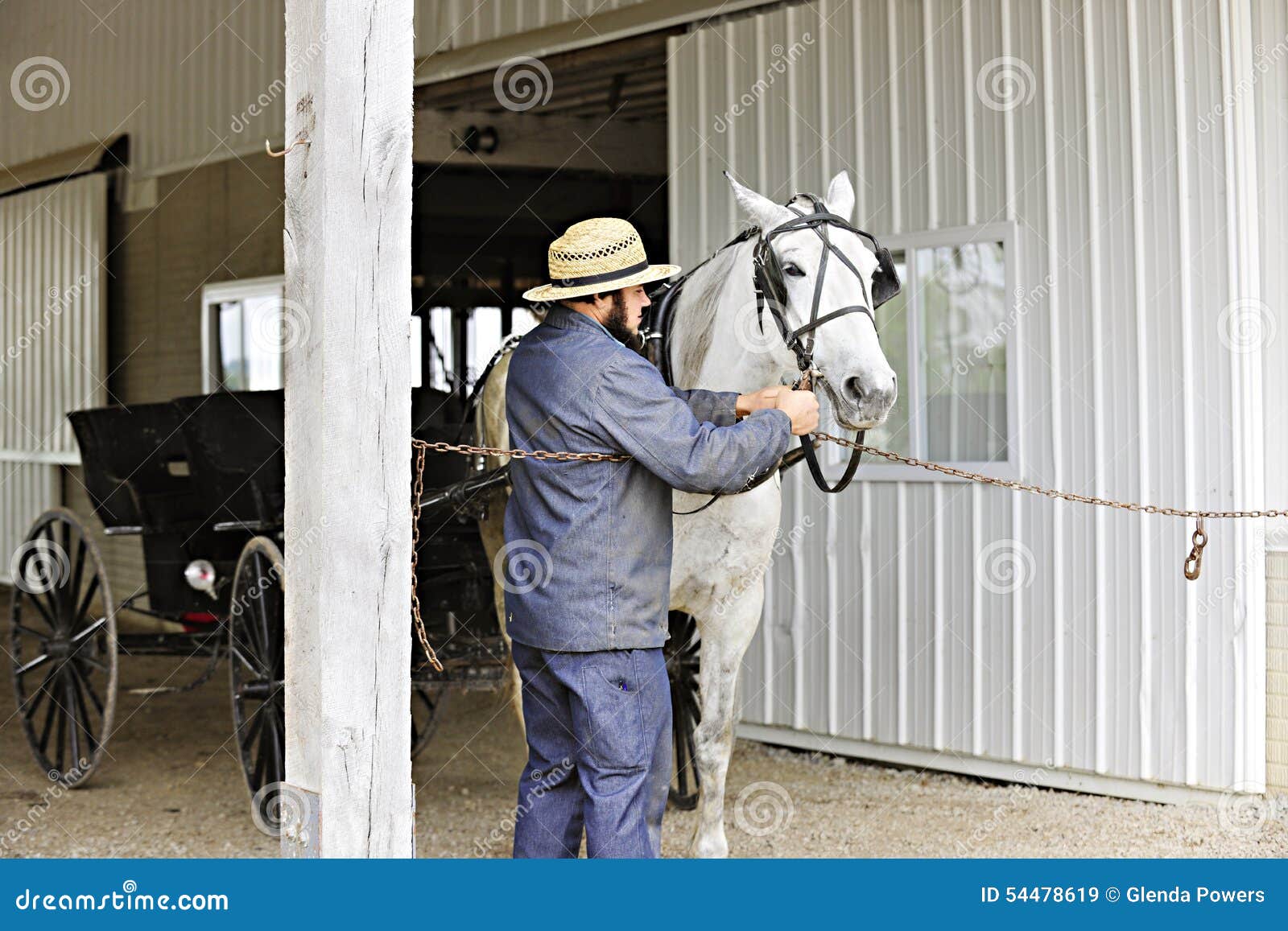 Amish Man Preparing His Horse for a Ride Editorial Stock Image - Image ...