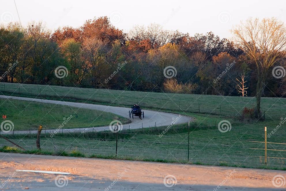 Amish morning stock photo. Image of amish, animal, buggies - 1441646