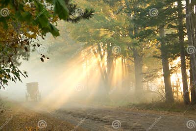 Amish in Morning Mist stock photo. Image of rural, amish - 21600138