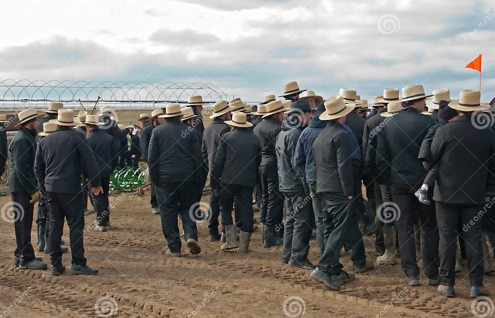 Amish Mud Sale editorial image. Image of mingling, auction - 29579985