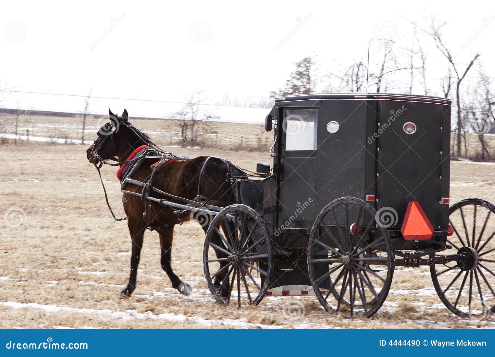 Amish transportation stock photo. Image of drive, culture - 4444490