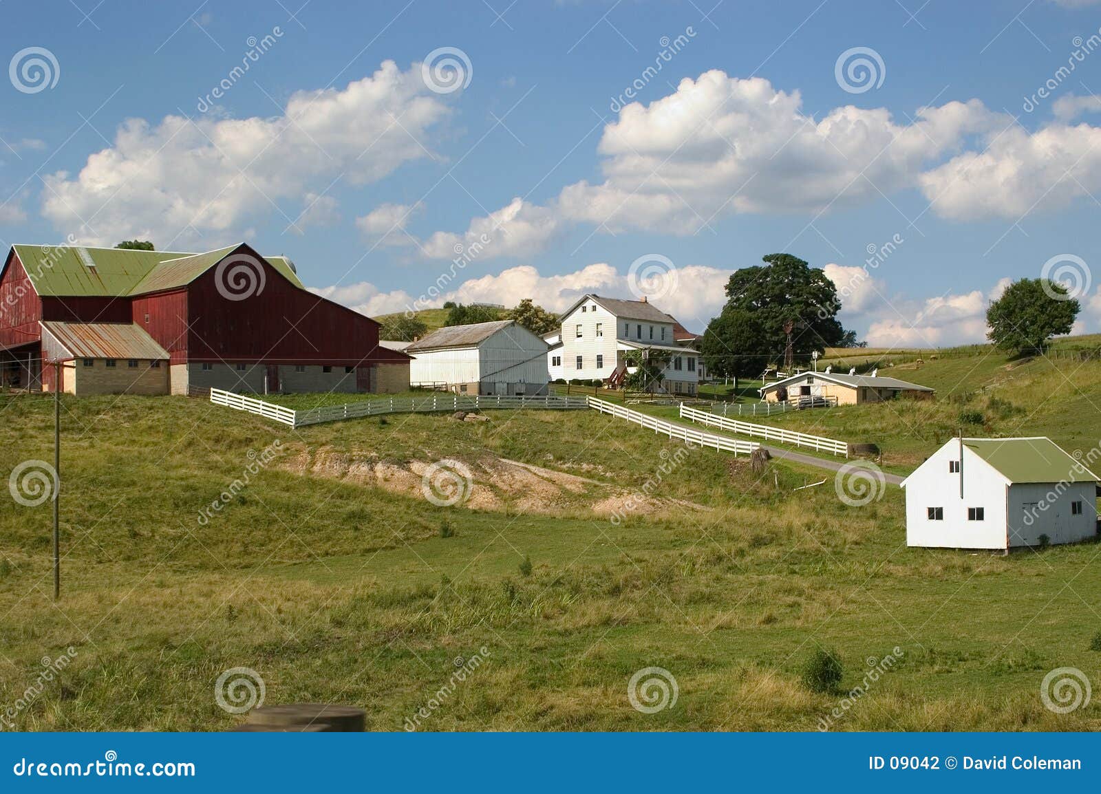 Amisze gospodarstwa zdjęcie stock. Obraz złożonej z gospodarstwo - 9042