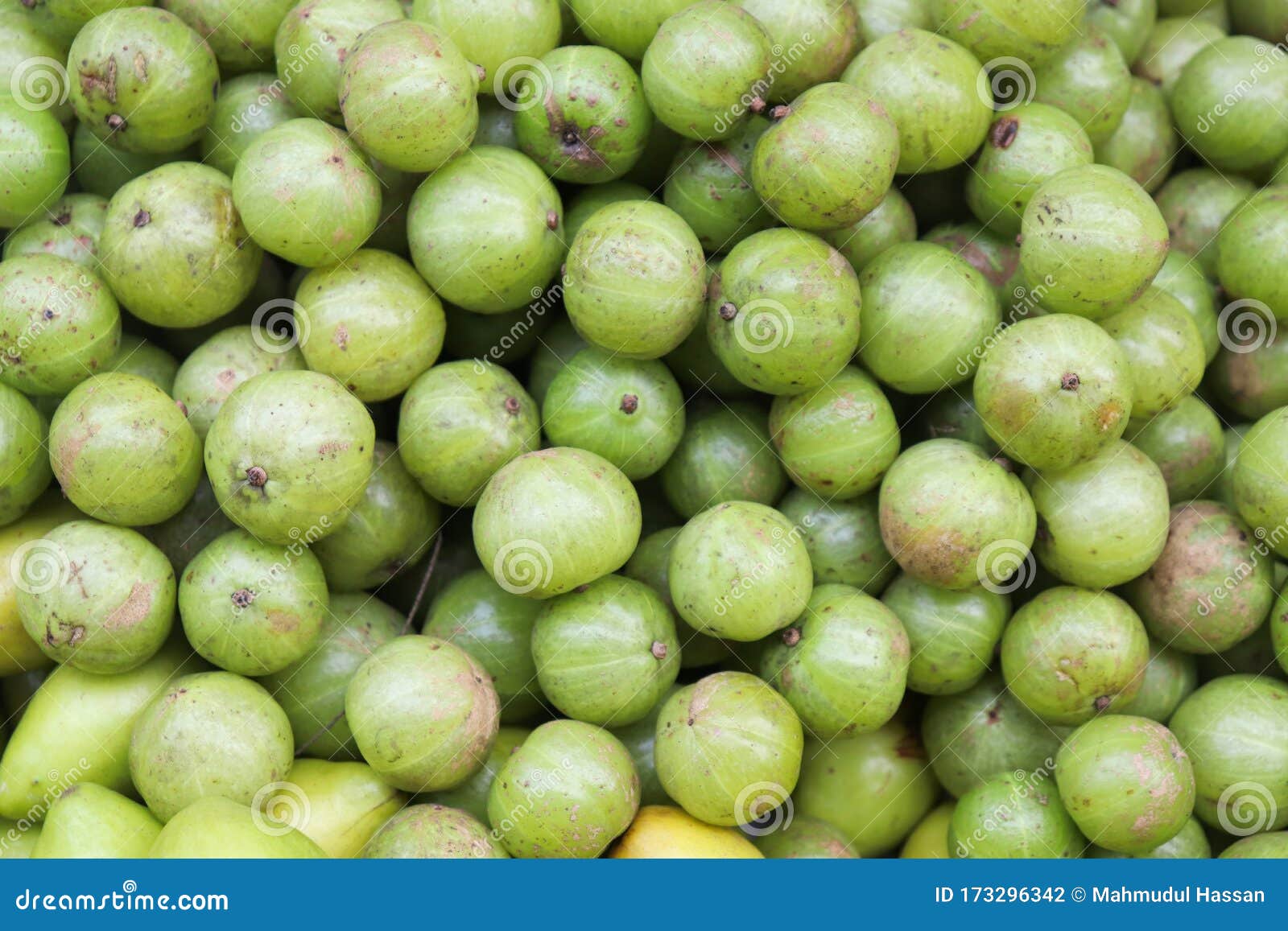 Amla Background. Green Indian Gooseberry Amla Background Stock Photo ...