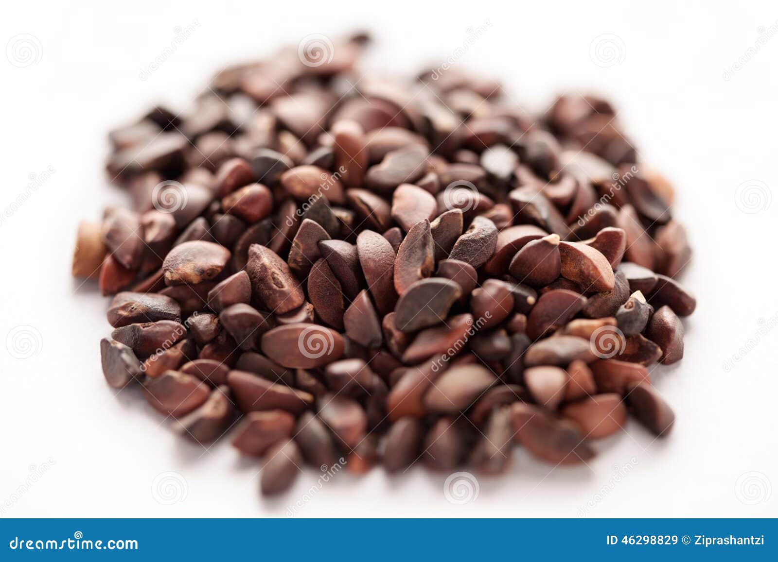 Amla Dry Seed (Phyllanthus Emblica) Stock Image - Image of amla ...