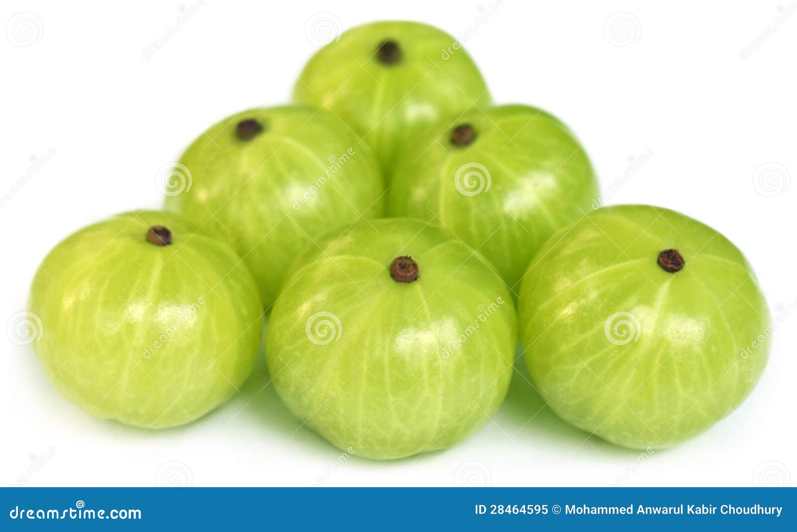 Amla fruits stock image. Image of asia, bangladesh, diet - 28464595