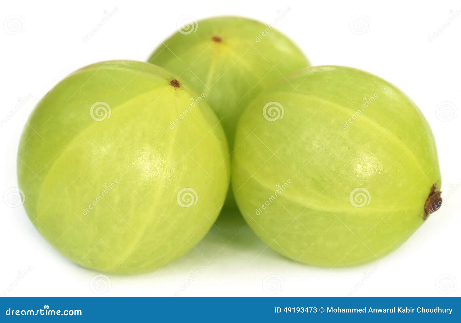Amla fruits stock image. Image of asia, phyllanthus, snack - 49193473