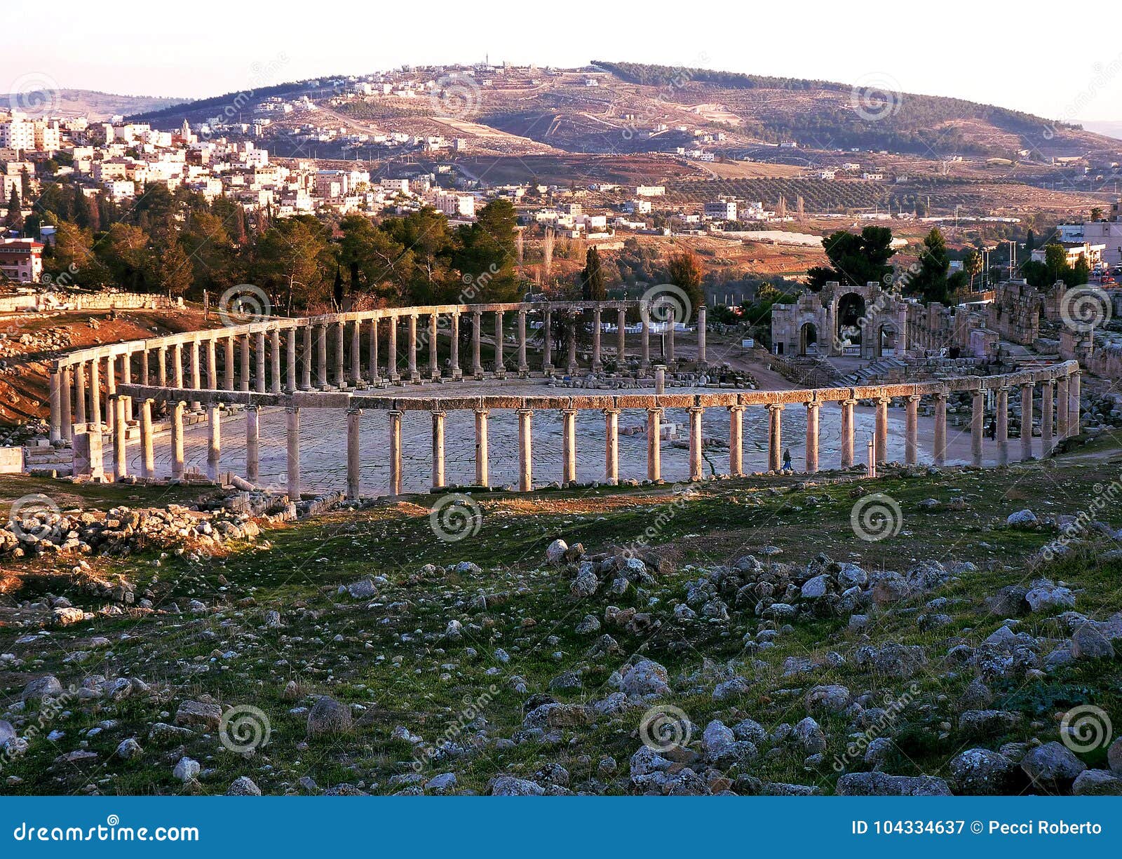 Jordan, Amman, Gerasa, Jerash, the Hole and the Maximum Thistle Stock ...