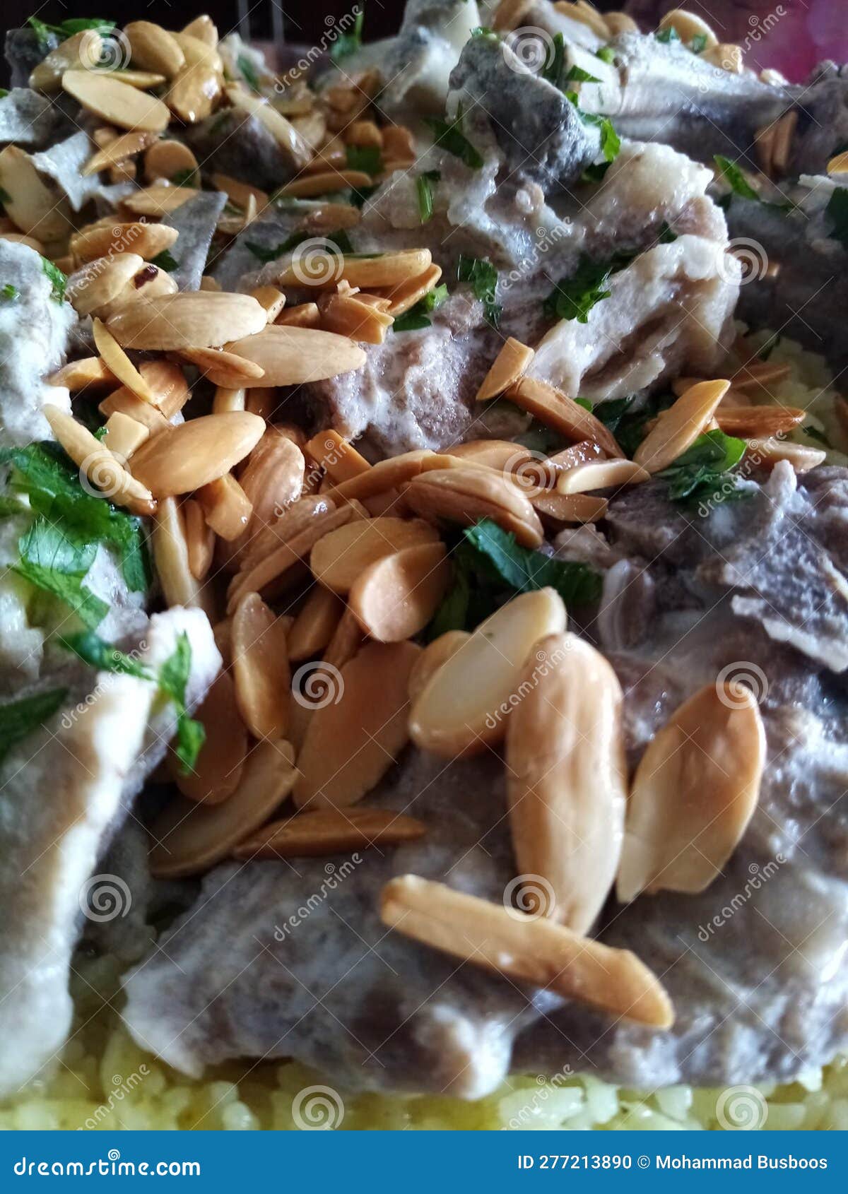 Amman stock photo. Image of plant, salad, amman, spaghetti - 277213890