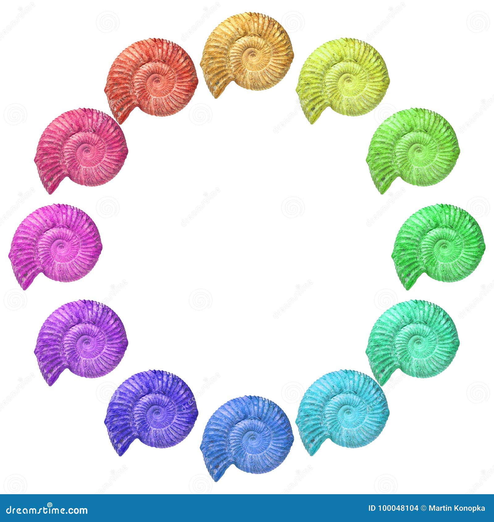 Ammonit arkivfoto. Bild av fossil, klocka, jord, färg - 100048104