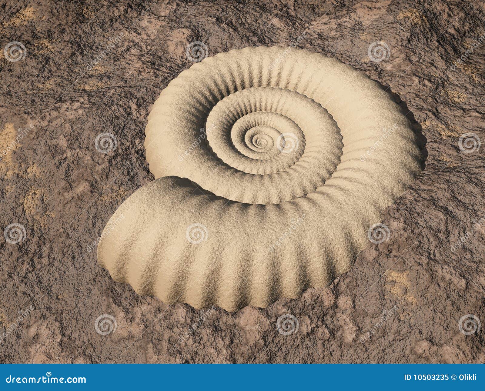 Ammonite stock illustration. Illustration of fossil, spiral - 10503235
