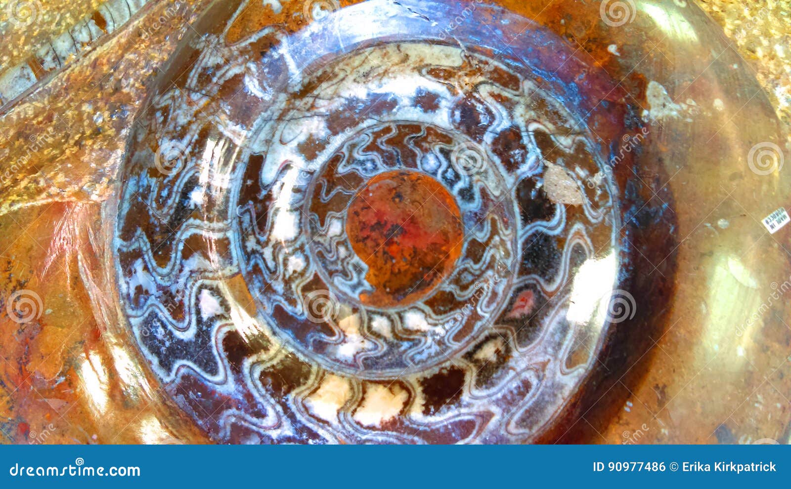 Ammonite Gemstone Background Stock Photo - Image of color, material ...