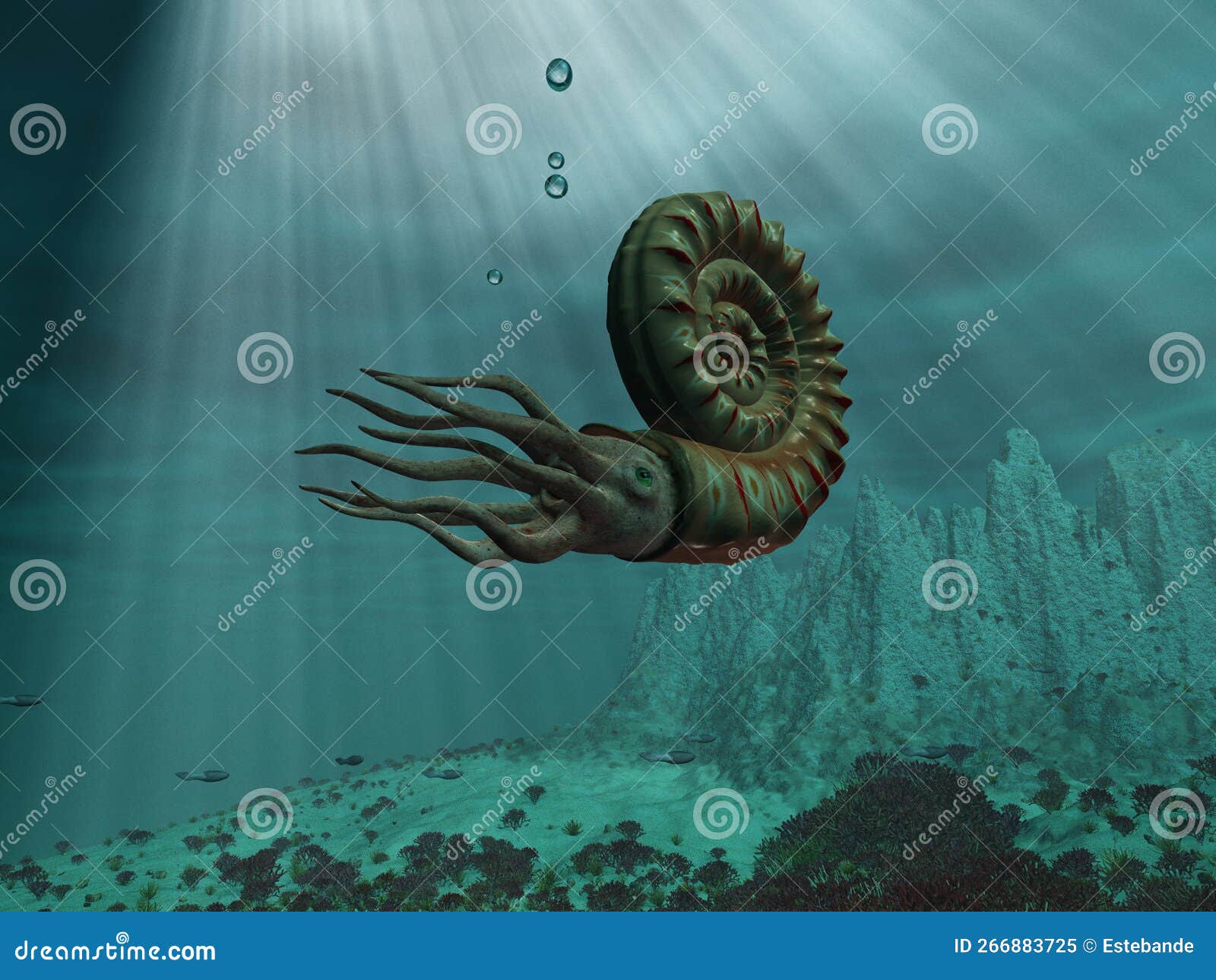 Ammonite Middle Devonian Swimming in the Deep Sea Stock Illustration ...