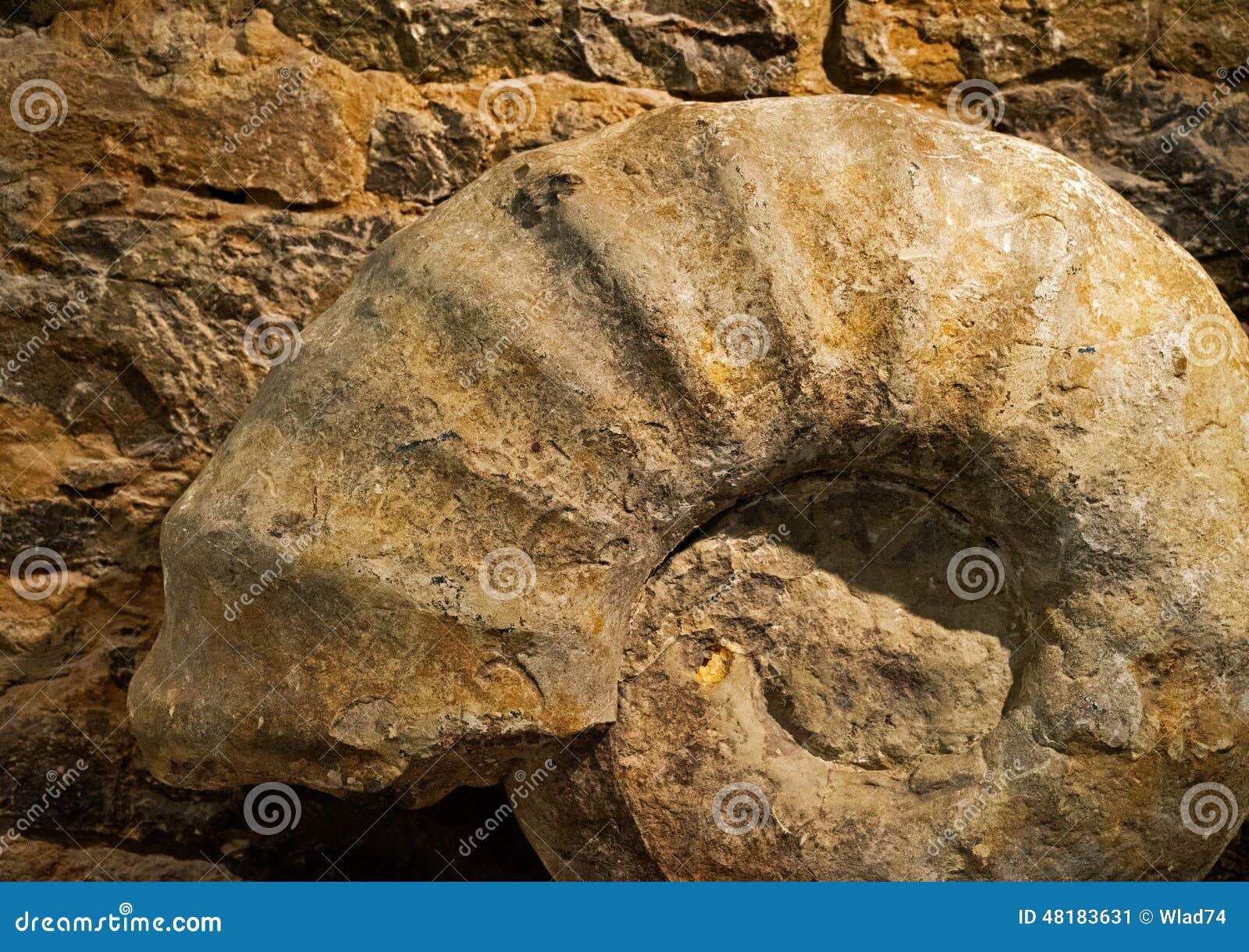 Fossil Wall Texture Background Stock Photo | CartoonDealer.com #66389538