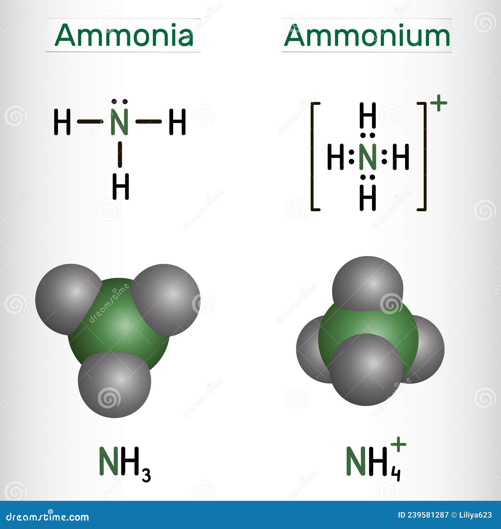 Ammonium Cation Skeletal Formula. Protonated Form Of Ammonia. Vector ... Ammonium Cation Skeletal Formula. Protonated Form Of Ammonia. Vector ...