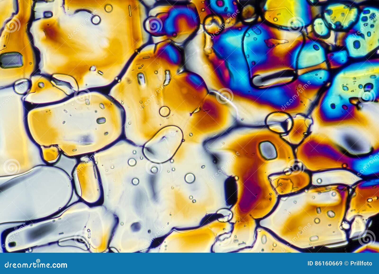 Ammonium Sulfate Microcrystals Stock Image - Image of microphotography ...
