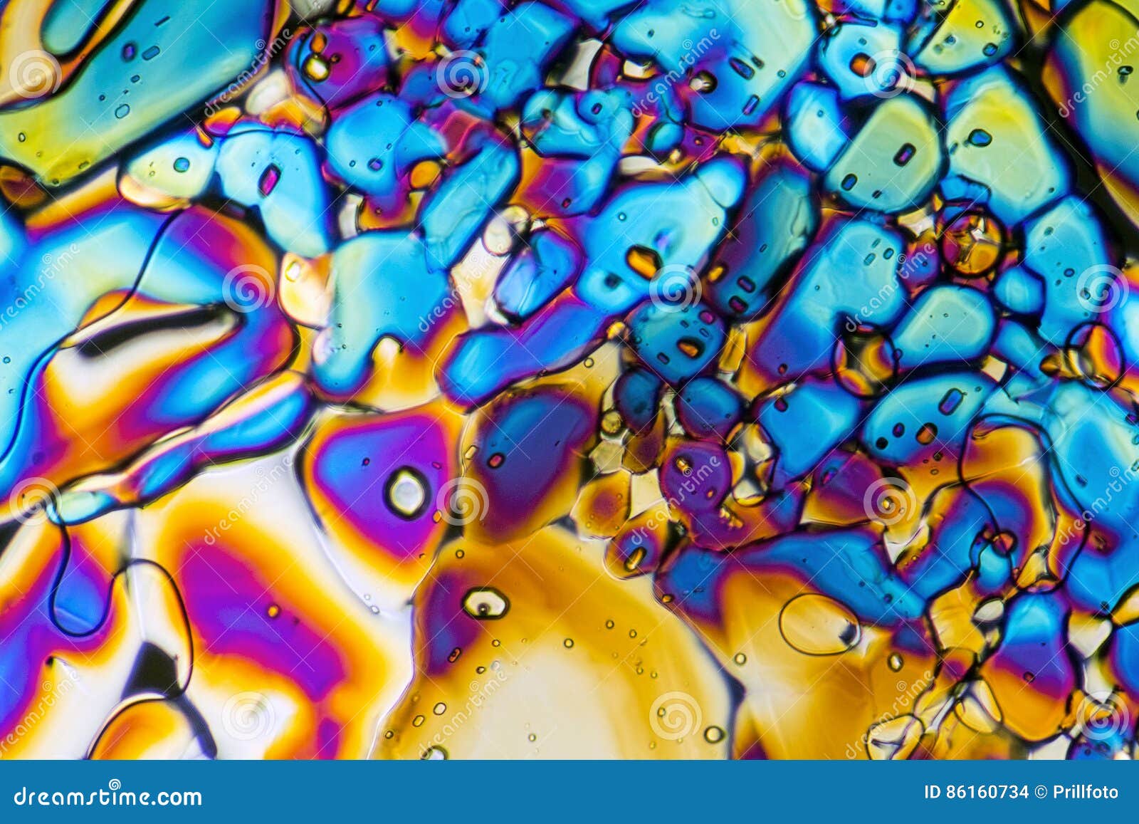 Ammonium Sulfate Microcrystals Stock Photo - Image of microcrystal ...