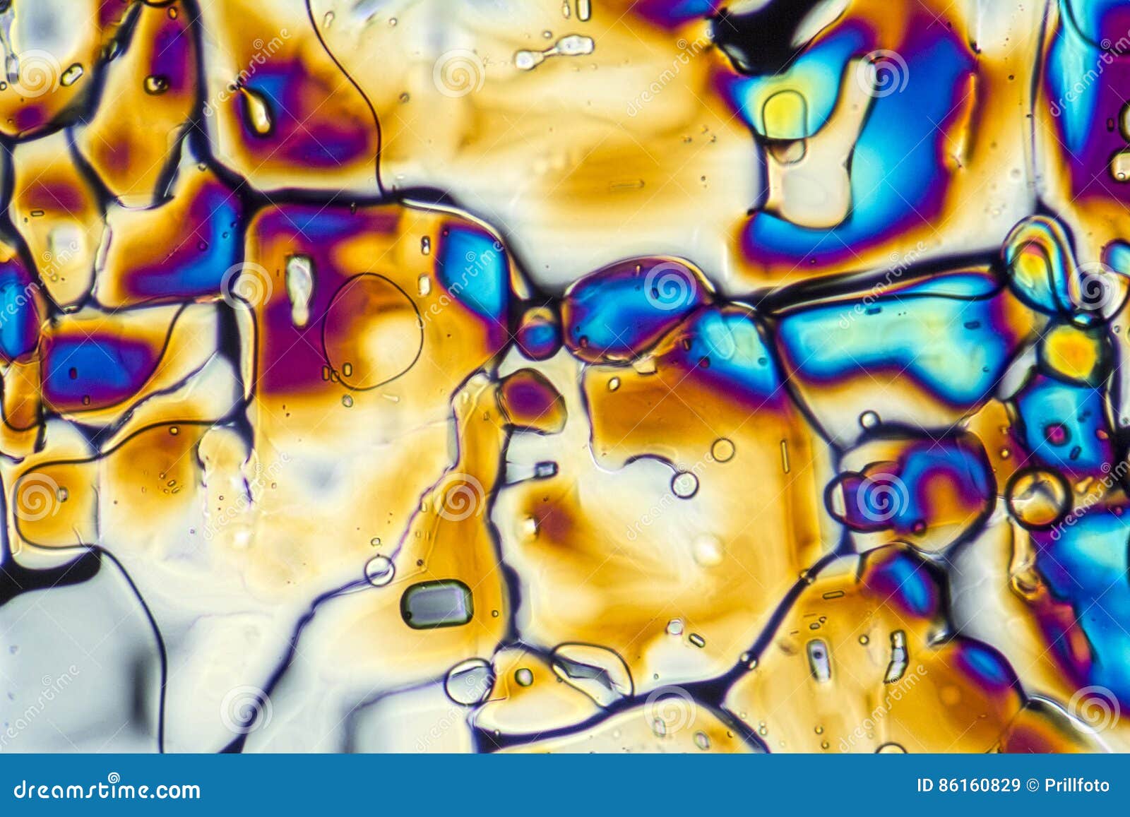 Ammonium Sulfate Microcrystals Stock Image - Image of illuminated ...