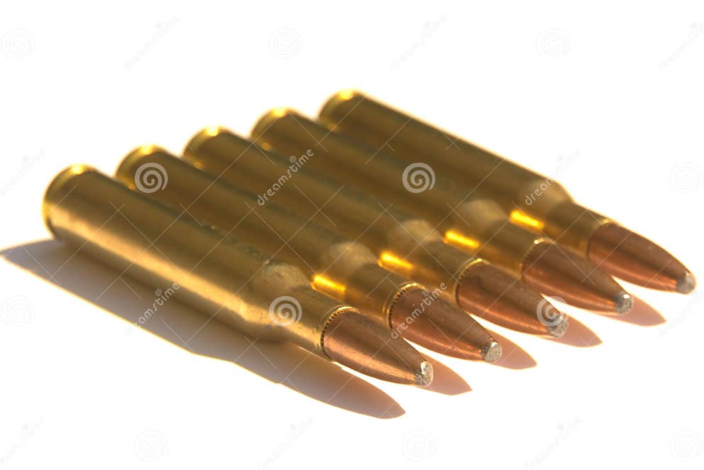 Ammunition stock image. Image of five, hunting, shooting - 55005119