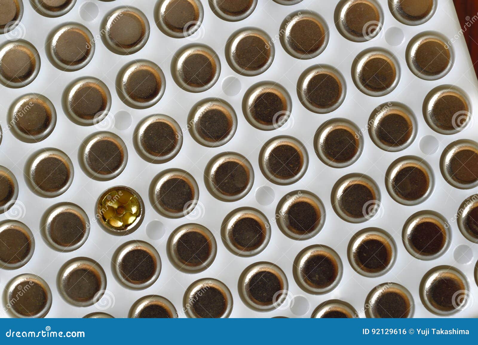 Ammunition Primers in Storage Tray with One Primer Reversed Stock Photo ...